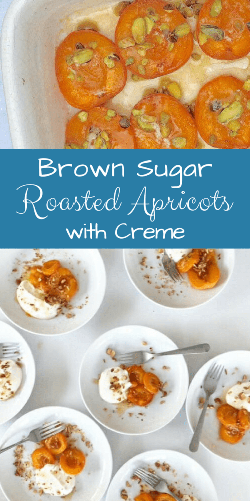 Brown Sugar Roasted Apricots - Mom's Kitchen Handbook